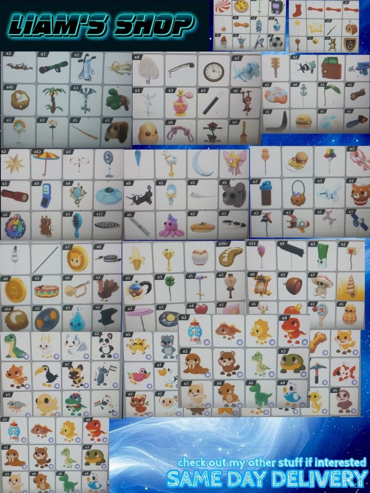 Roblox Adopt Me Virtual Whole Inventory Bundle CHEAPEST | eBay UK