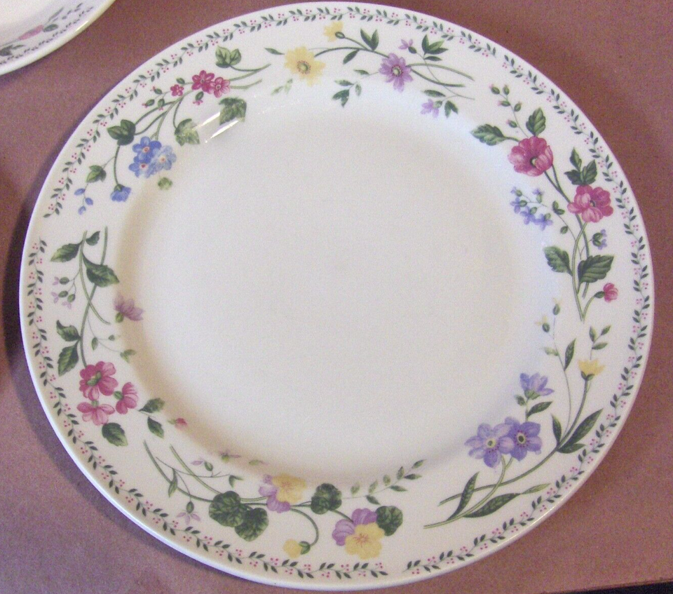 Set of 2 Only $10 aSet Farberware English Garden Dinnerware #225/5 ...