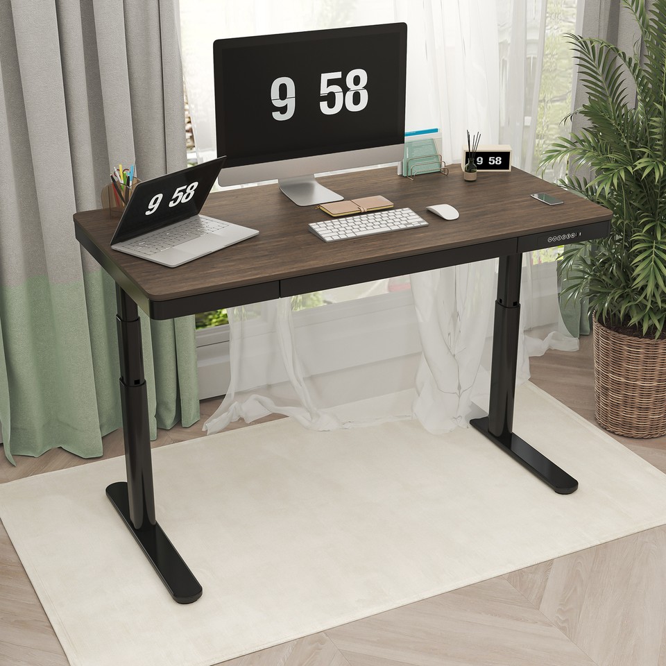 FlexiSpot Dual Motor 55" Bamboo Desktop Electric Standing Desk Wireless Charging | eBay