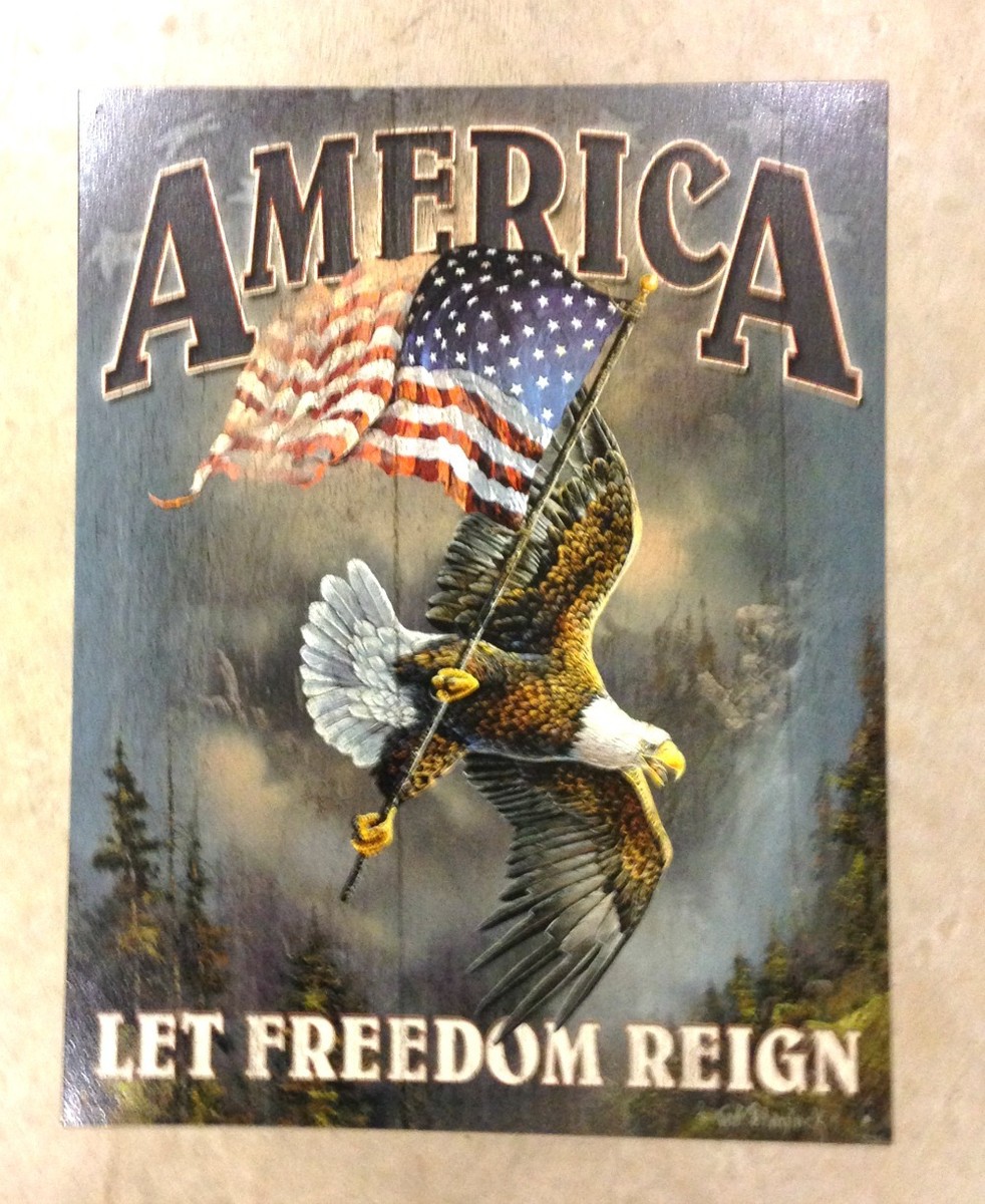 American Flag Freedom Eagle American Bald Eagle Let Freedom Ring US