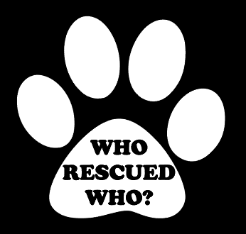 Who Rescued Who? Decal, Dog Rescue, Cat, JDM Decal for Car, Windows ...