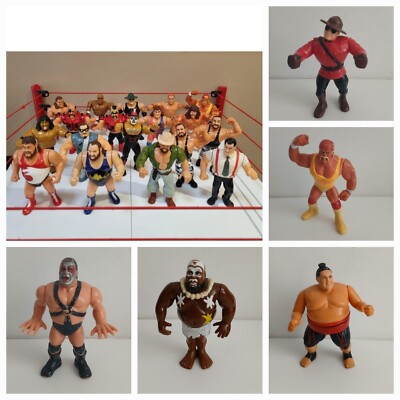 WWF HASBRO WRESTLING FIGURE - VINTAGE WWE WCW ACTION FIGURES CUSTOM ...