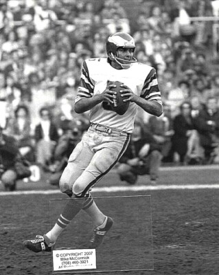 ROMAN GABRIEL Philadelphia Eagles photo in action (c) #2 1973-77 NFL ...
