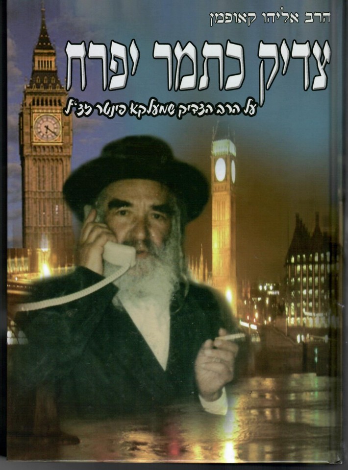 צדיק כתמר יפרח על הגאון שמעלקע פינטער RABBI SHMELKA PINTER | eBay