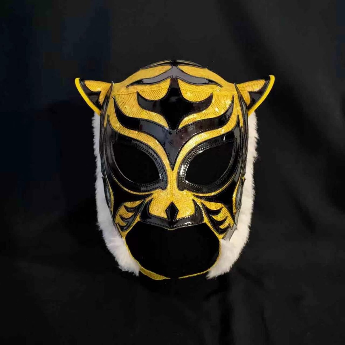 Tiger Mask Wrestler Iv