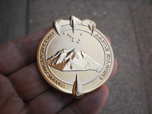 11TH. AIRBORNE (ALASKA) AVIATION "TASK FORCE ARCTIC FALCON" BEAUTIFUL ...