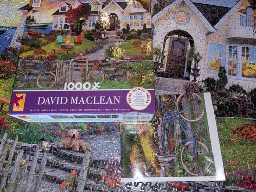 Ceaco David Maclean Coastal Home 1000Pc Jigsaw COMPLETE Puzzle w POSTER ...