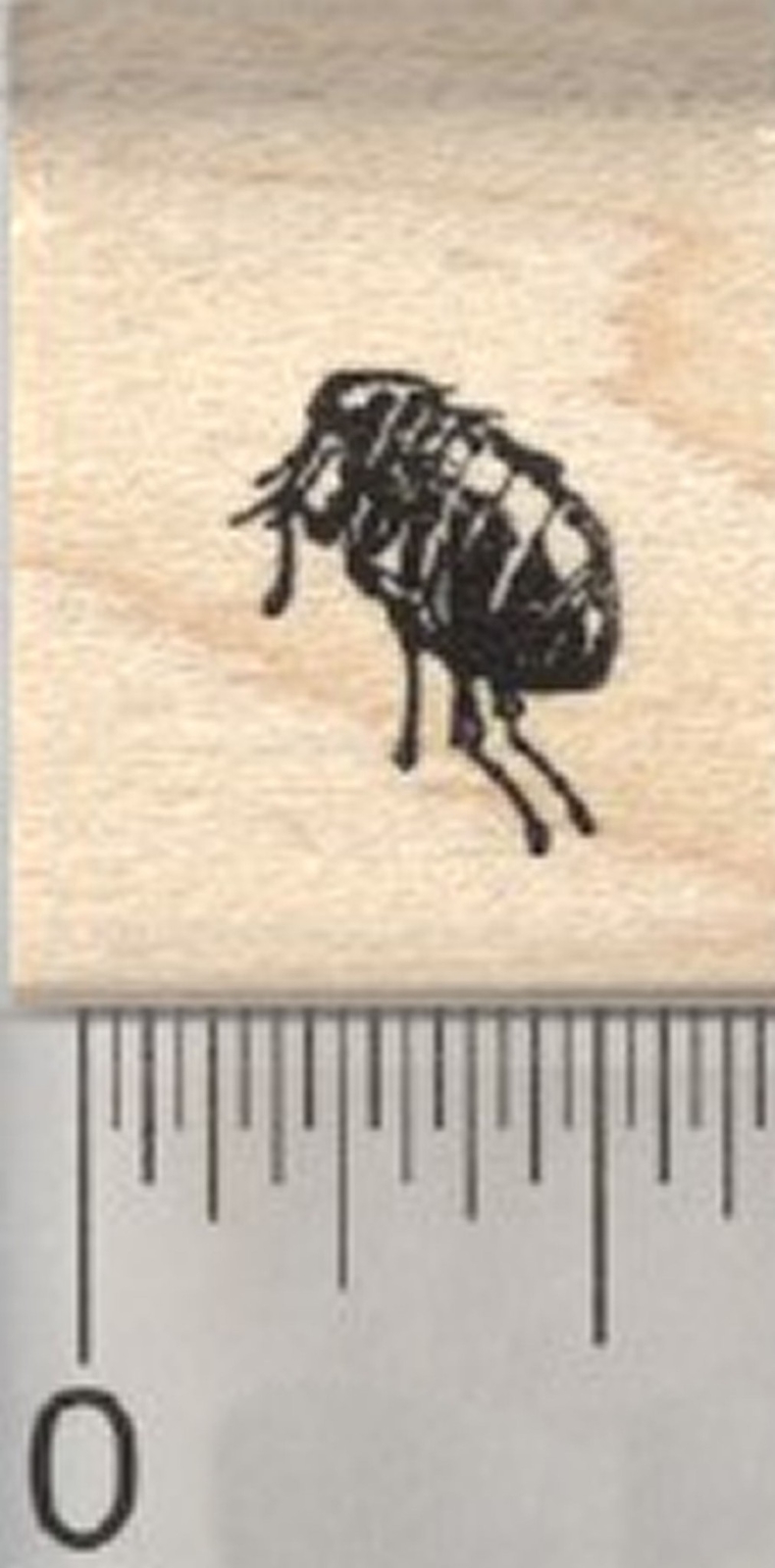Tiny Flea Rubber Stamp, .5 inch A27925 WM | eBay