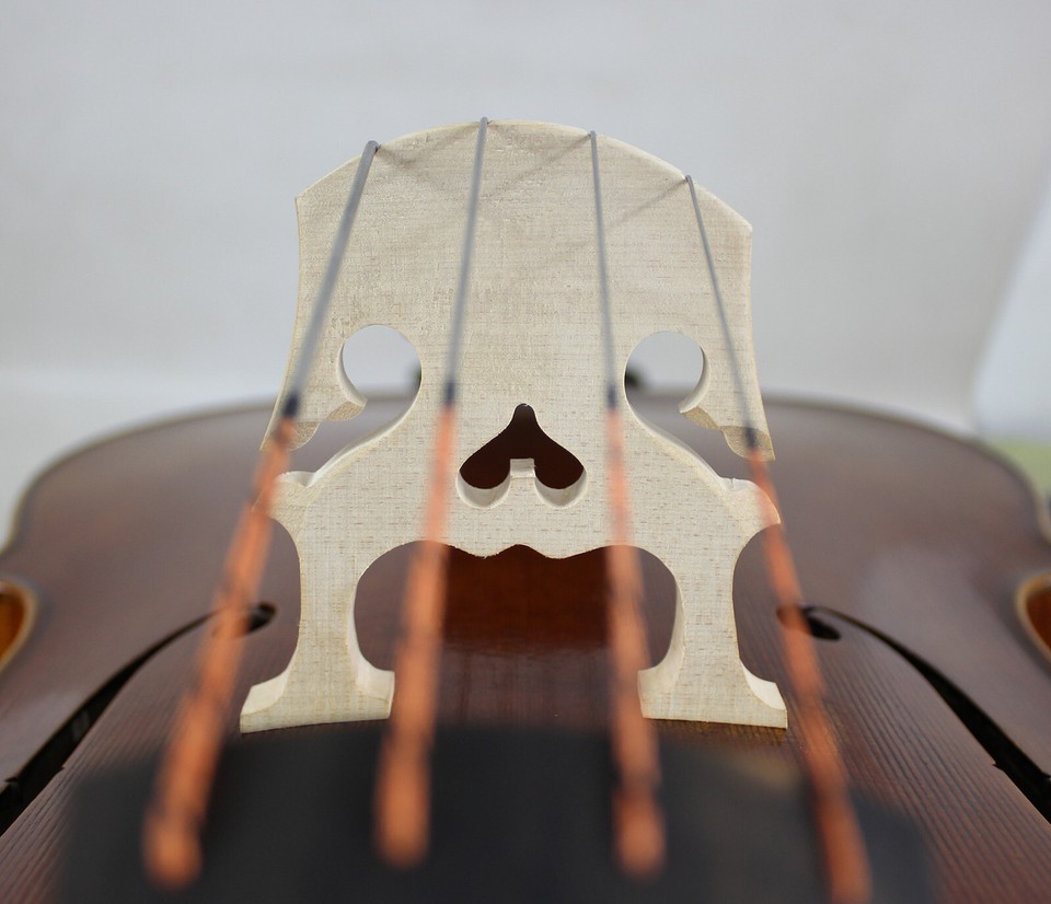 Baroque Cello! Master's Own Work! Pietro Giacomo Rogeri Cello 1717 ...