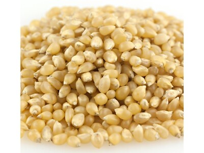 Medium White Bulk Popcorn 10 Pounds Popcorn Kernels Free Shipping | eBay