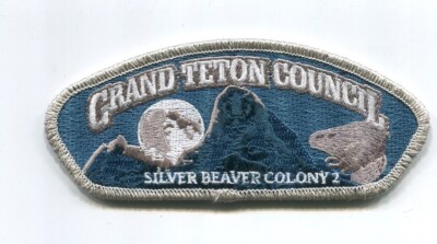 CSP FROM GRAND TETON COUNCIL- SA- 449- SILVER BEAVER-2016 | eBay