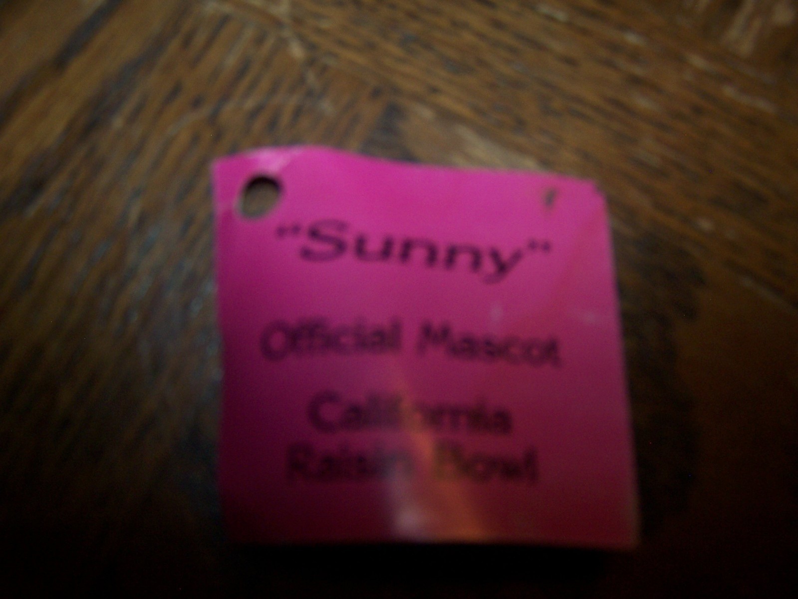 Sunny the Bear Official Mascot California Raisin Bowl RARE HTF | eBay