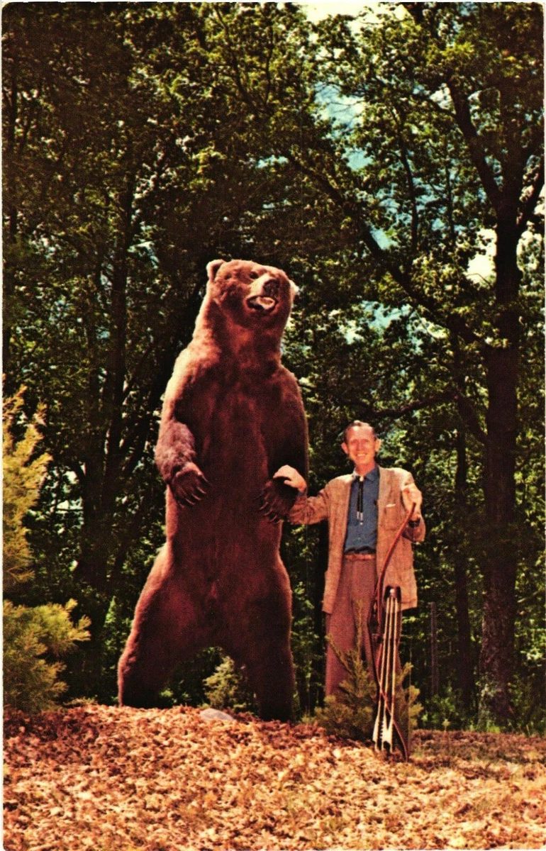 World Record Grizzly Bear