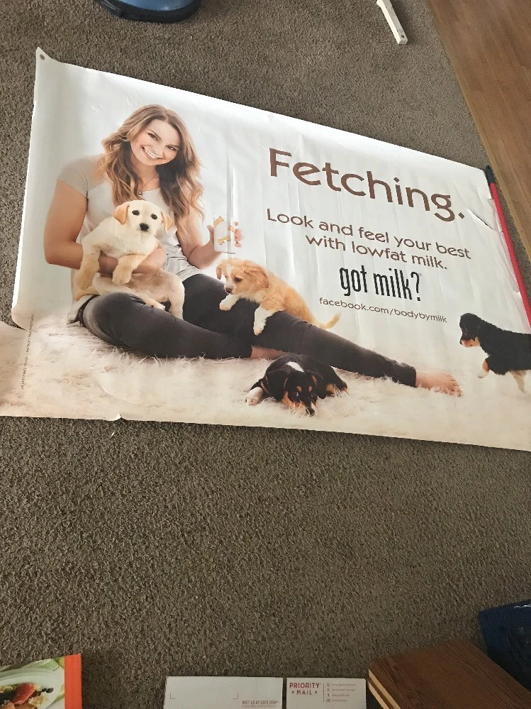 Got Milk Posters For Kids