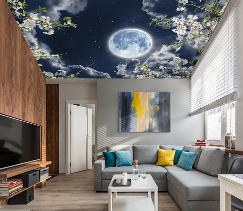 3D Soft Moonlight G3668 Ceiling WallPaper Murals Wall Print Decal Deco ...