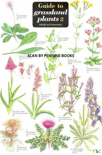 Guide to Grassland Plants 2 ISBN 1851532919 Isbn-13 9781851532919 for ...