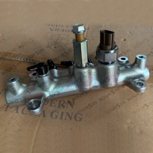 COMMON RAIL ASM FOR ISUZU NPR NPR-HD NQR NRR 4HK1 5.2L 2008-2010 ...