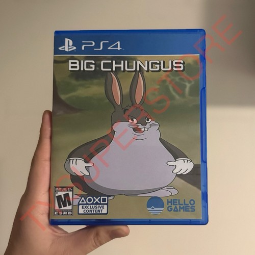 NEW HD COVER - Big Chungus PS4 PS5 Game Case ONLY - CUSTOM | eBay