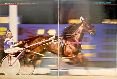 Niatross Standardbred Harness Racing Horse Champion Vintage 1980 ...