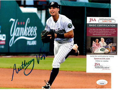 Anthony Volpe Authentic Signed 8x10 Photo Autographed, New York Yankees ...