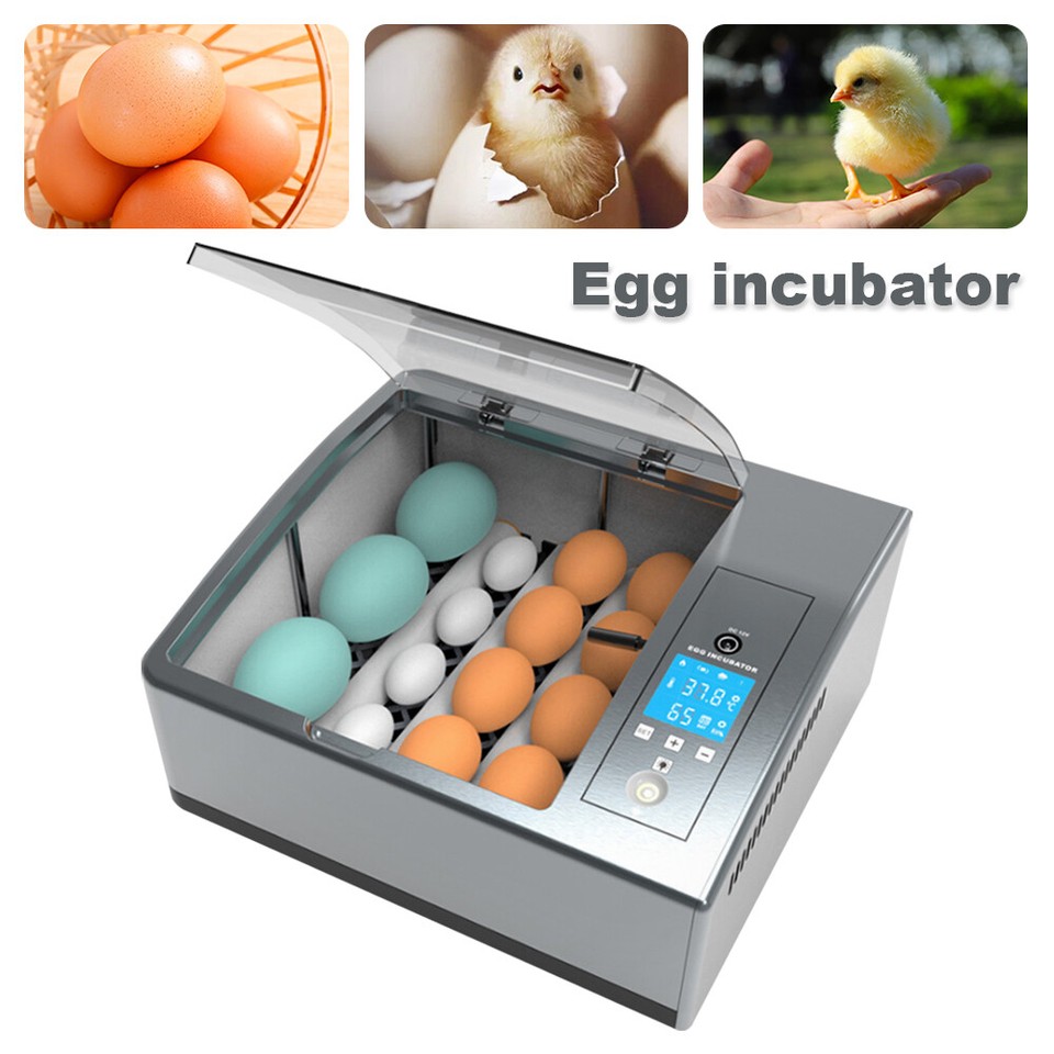 16 Chicken Egg Incubator Fit Hatching Eggs with Automatic Turner Temp ...