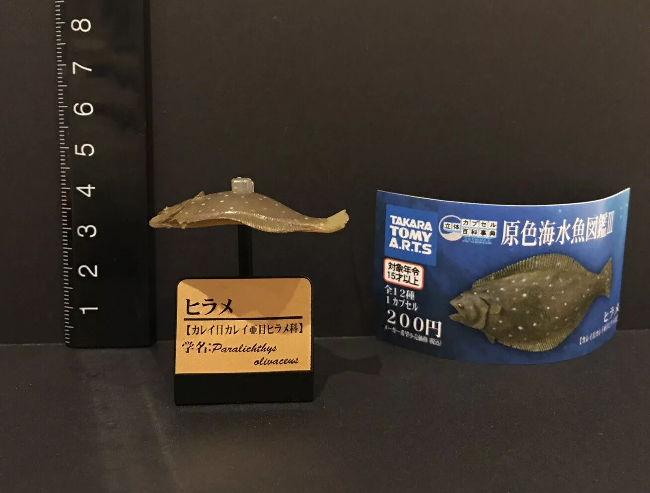 Takara Tomy A.R.T.S Japan Exclusive Saltwater Olive Flounder Sea Fish ...
