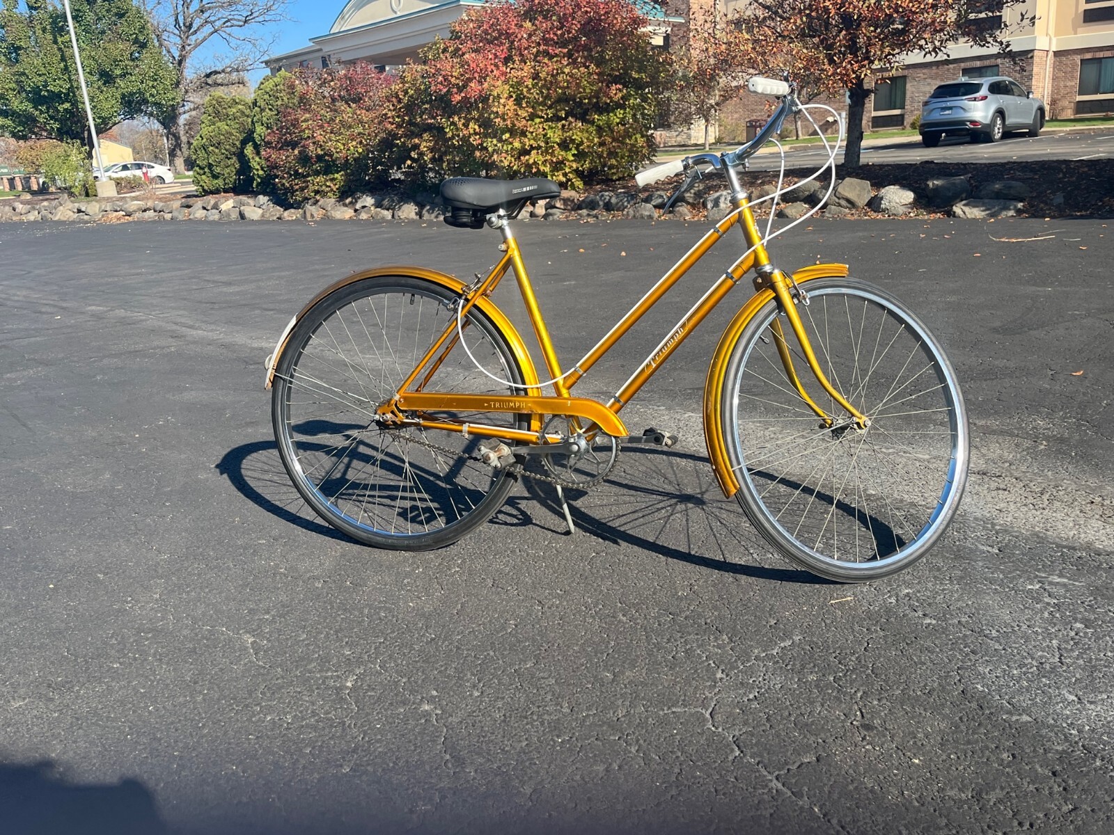 Reconditioned, Vintage 1966/7 Raleigh Triumph Bicycle 3spd AW Sturmey ...