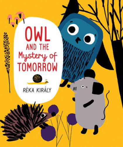 Owl and the Mystery of Tomorrow - Hardcover By Kirly, Rka - GOOD ...