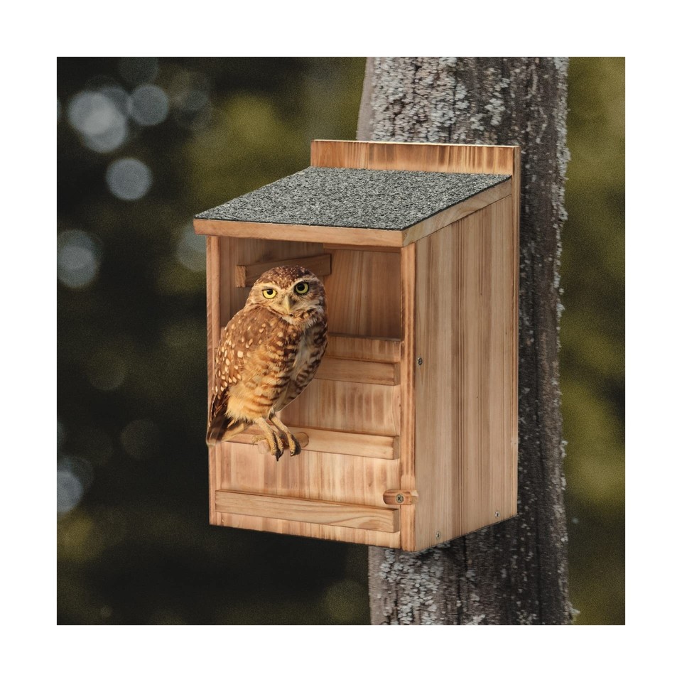 Owl House,Screech Owl House with Bird Stand,Owl Nesting Box,Barn Owl ...