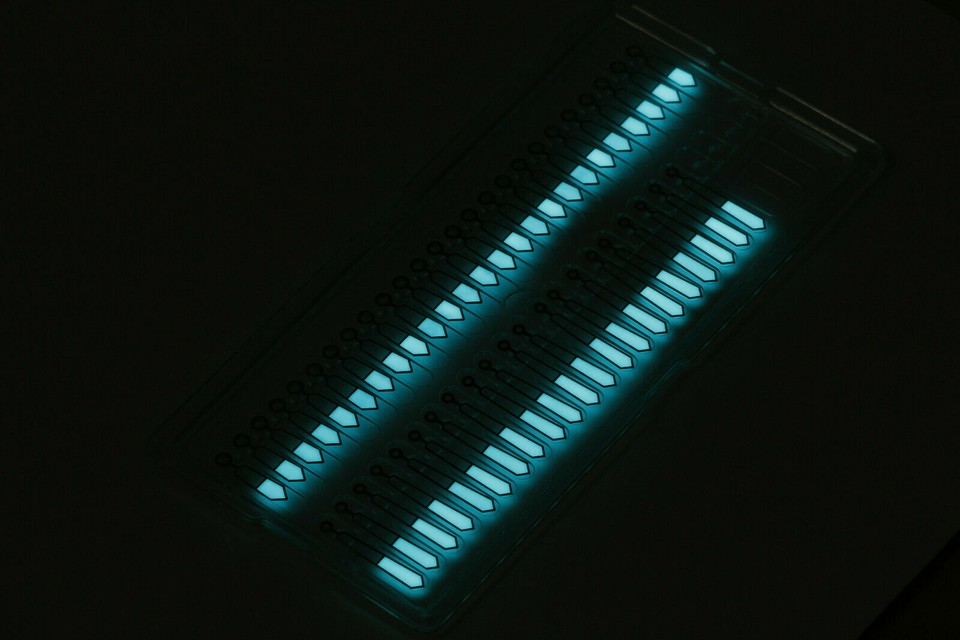 SuperLuminova BGW9 Grade A + 3g(A60+A61)+ bowl + oil pin Luminous ...