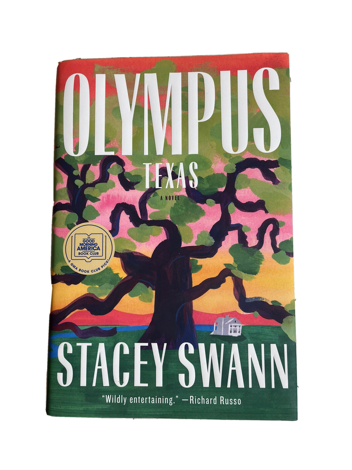 Olympus, Texas: A Novel Hardcover Stacey Swann/ Pre Owned | eBay