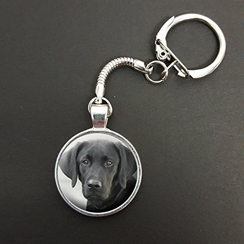 Black Labrador Keyring Snake Dog Key Chain Ideal Birthday Gift N72 ...