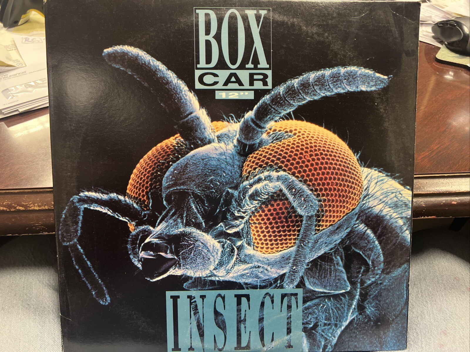 BOXCAR INSECT 12" 1989 ARISTA AD1-9925 DJ PROMO | eBay