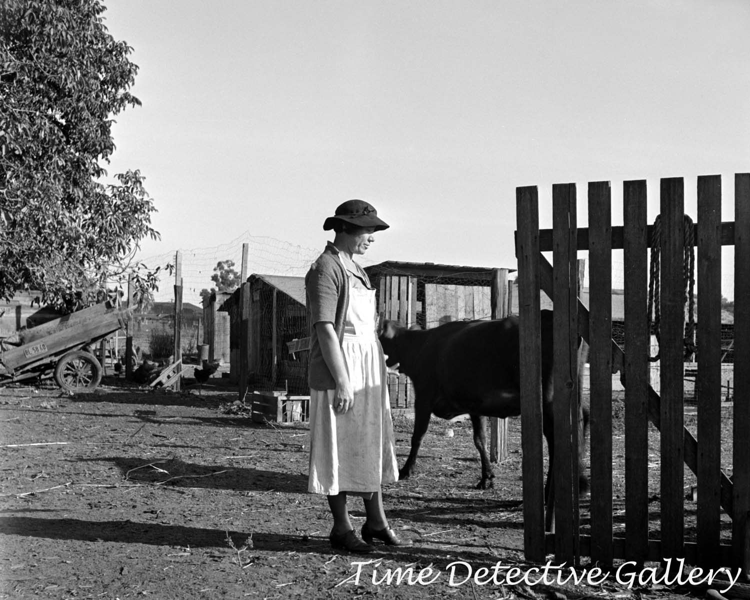 Farm Wife, Tulare County, California - 1938 - Vintage Farm Photo Print ...