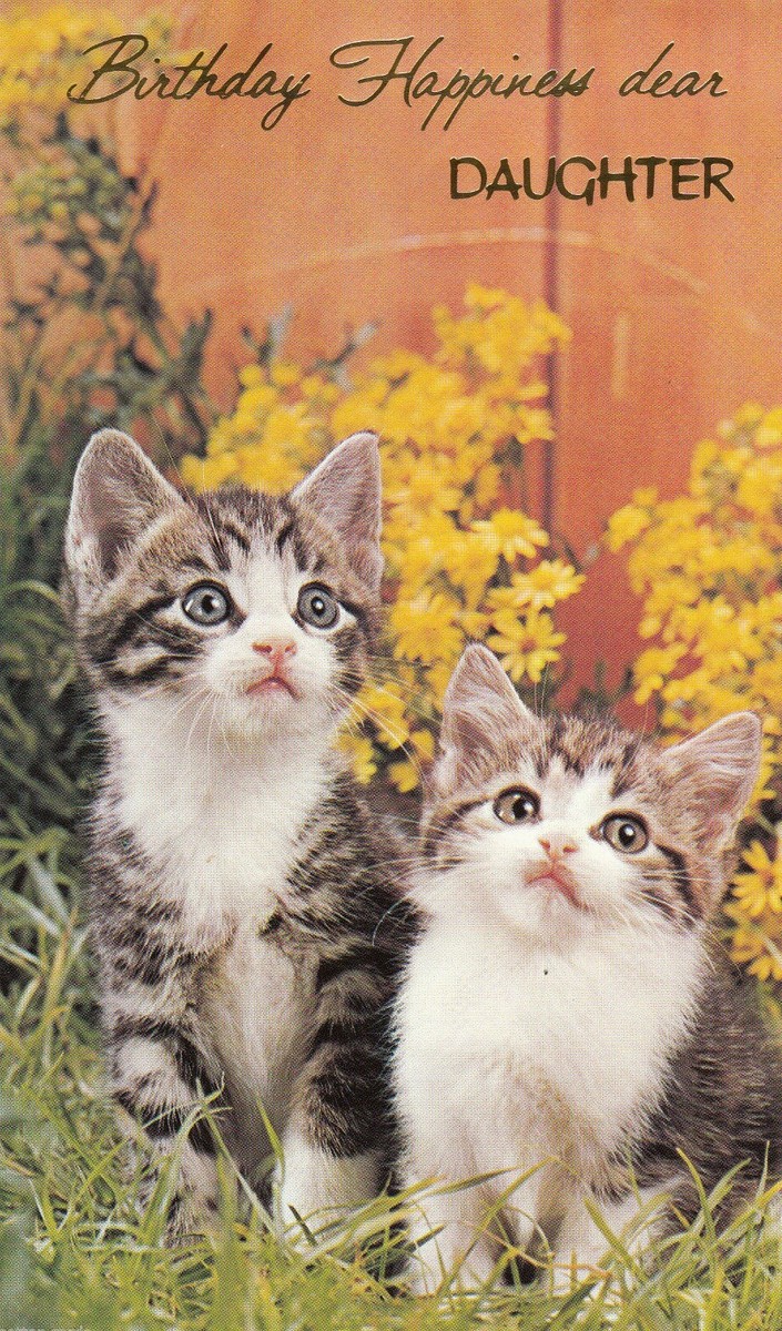 Happy Birthday Daughter Cats