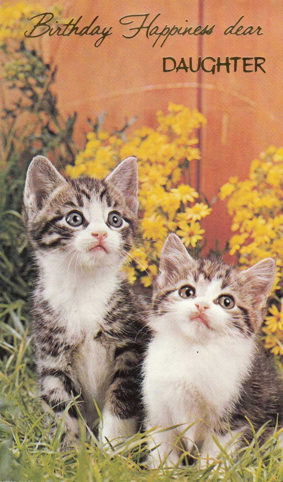 Daughter Happy Birthday Vintage Greeting Card Cute Kittens Tabby Cats ...