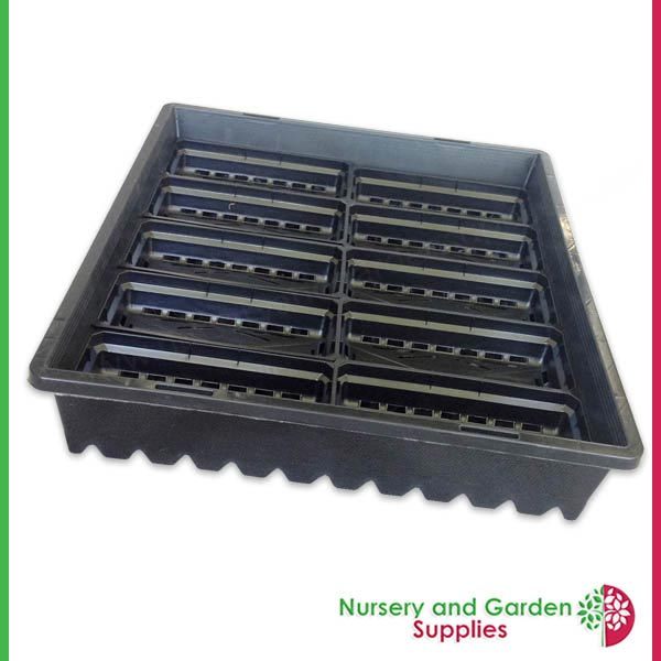 Shallow Height Micro Green Punnets X 120 | eBay