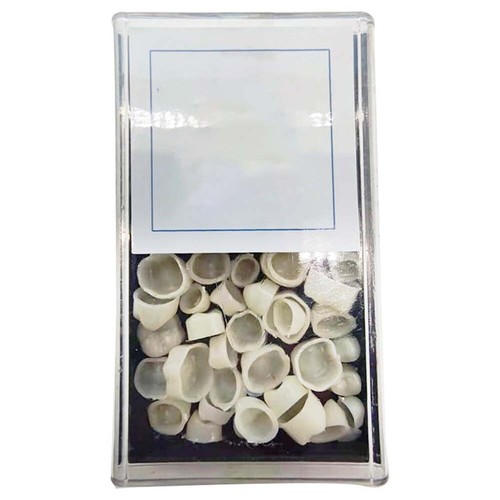 120Pc Fake Tooth Cap Crown Veneers Front Back Anterior and Molar ...