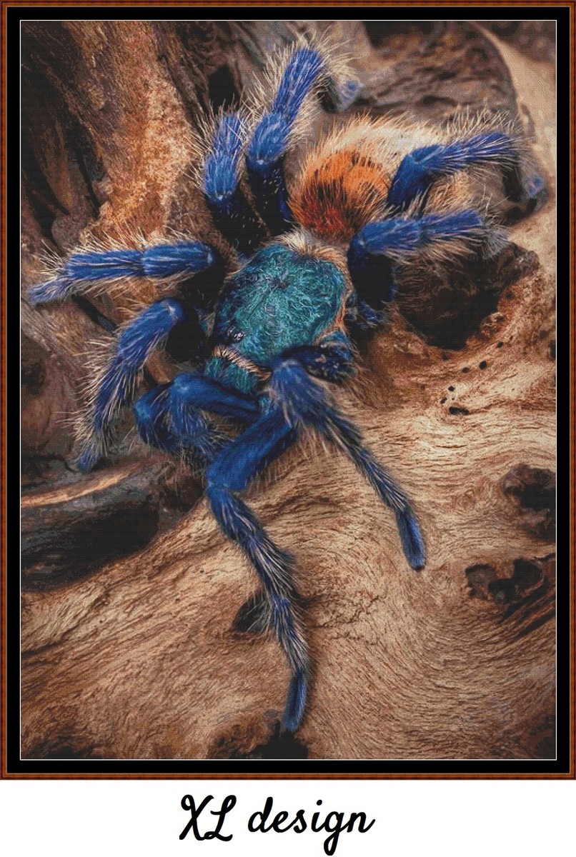 Green Bottle Blue Tarantula