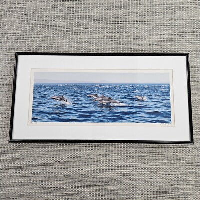 Framed Dolphin Photography Art Print Voyagers by David Schrader 11"x22 ...