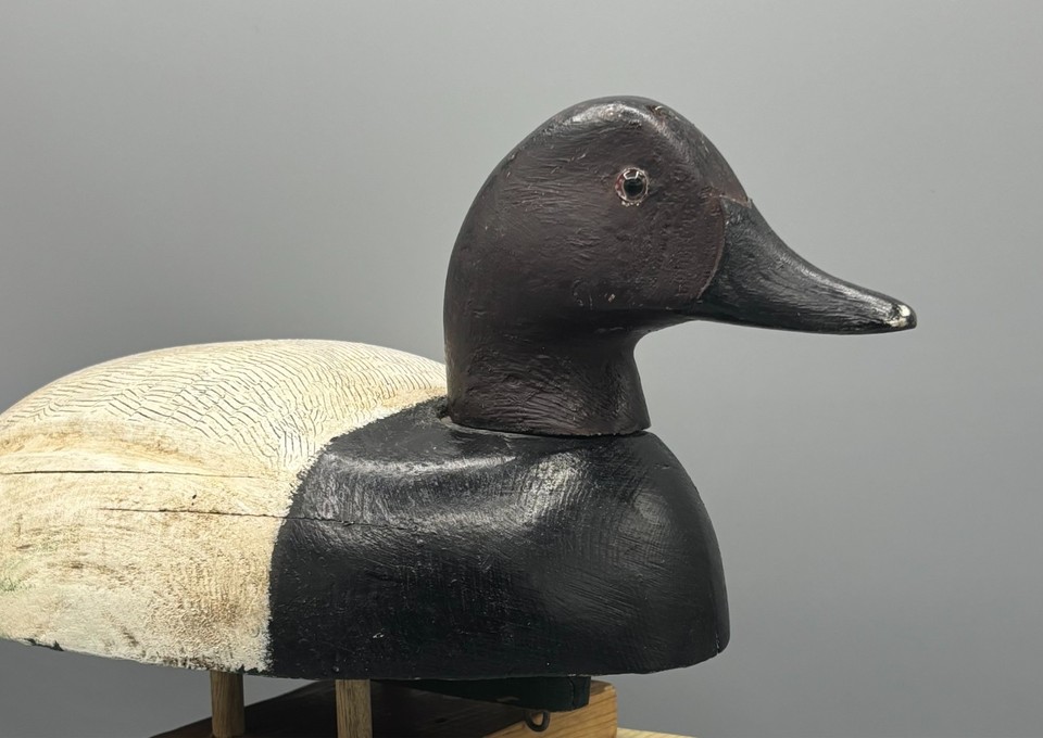 ***UNUSUAL*** CANVASBACK DRAKE ***ORIGINAL PAINT & HEAD TURNING ...