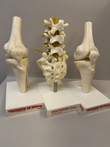 Voltaren Desk Displays (3) Knees & Lumbar - Bulk | eBay