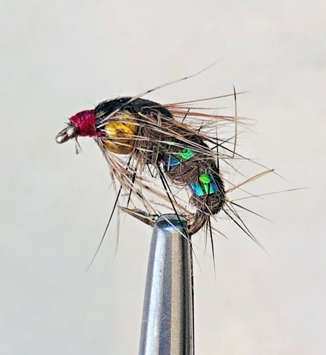 BH CADDIS EMERGER NYMPH "THE HOLY GRAIL" TROUT FLY FISHING FLIES 12 x ...