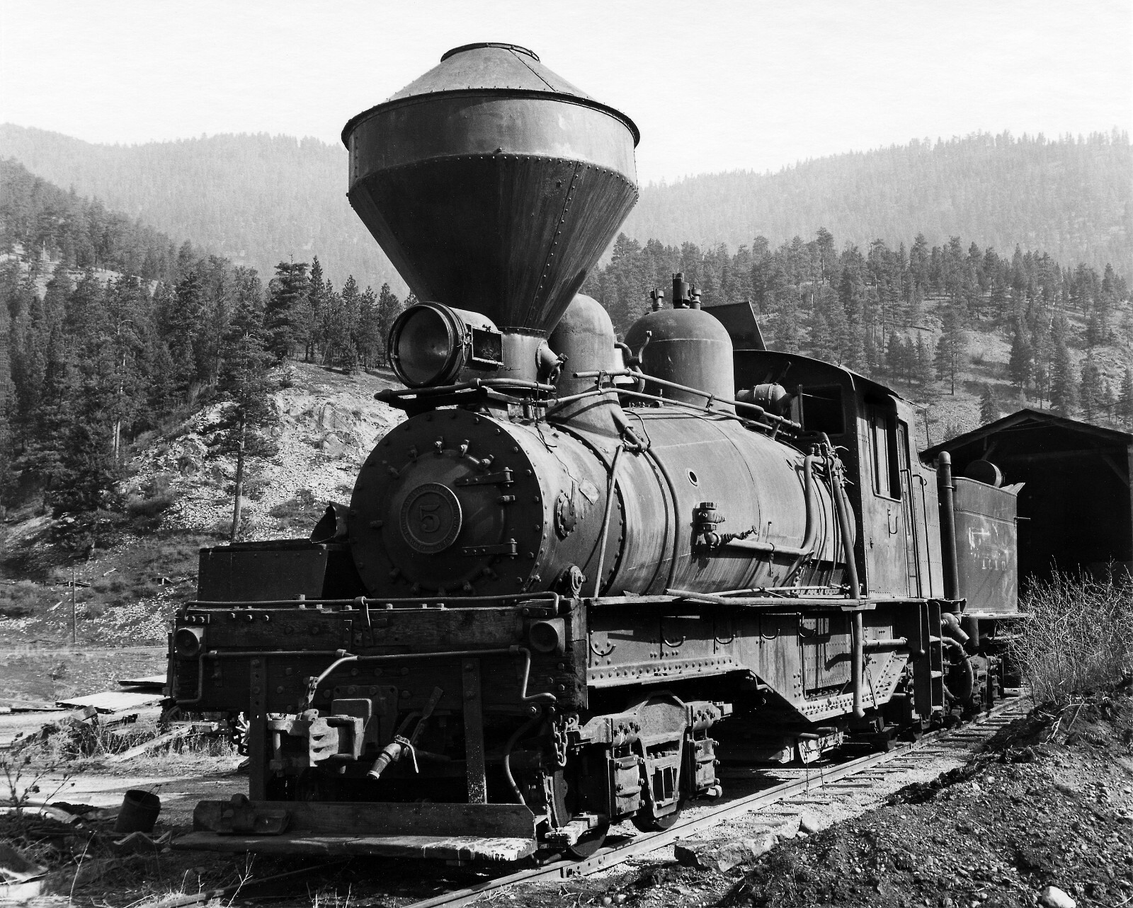 Lima Shay Locomotive, 8x10 Limited Edition Philip C. Johnson Print | eBay