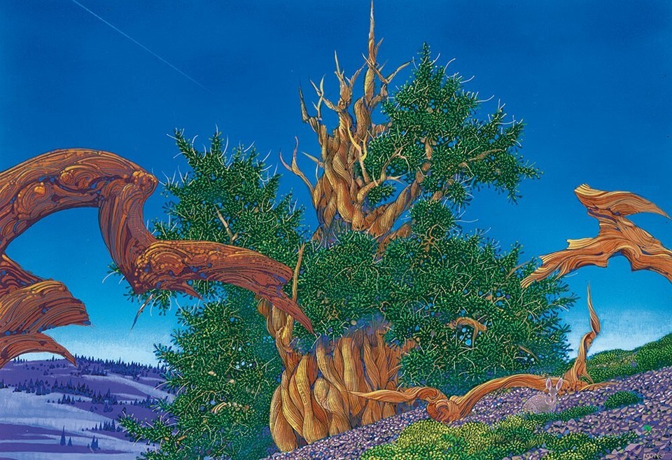 Hiroo Isono Forest Mind 248artworks collection artbook 2023 edition ...