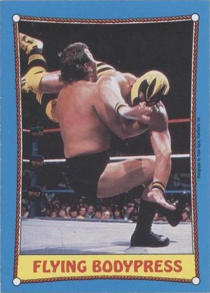 1987 O-Pee-Chee WWF - #47 Killer Bees (RC) for sale online | eBay