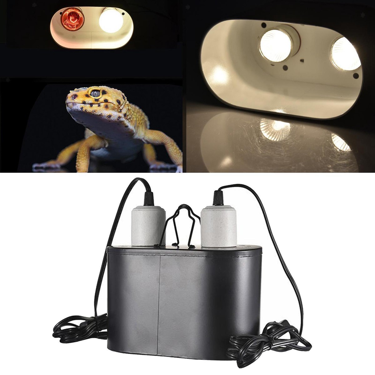 Reptile Ceramic Light Fixtures Ceramic Lamps For Sale Blackpool