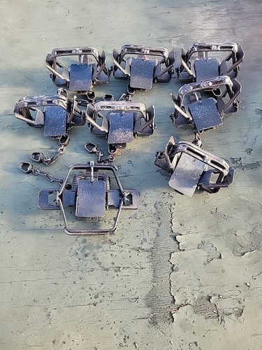 8 Montgomery Number 2 Step In COILSPRING Foothold Traps Modified Animal ...