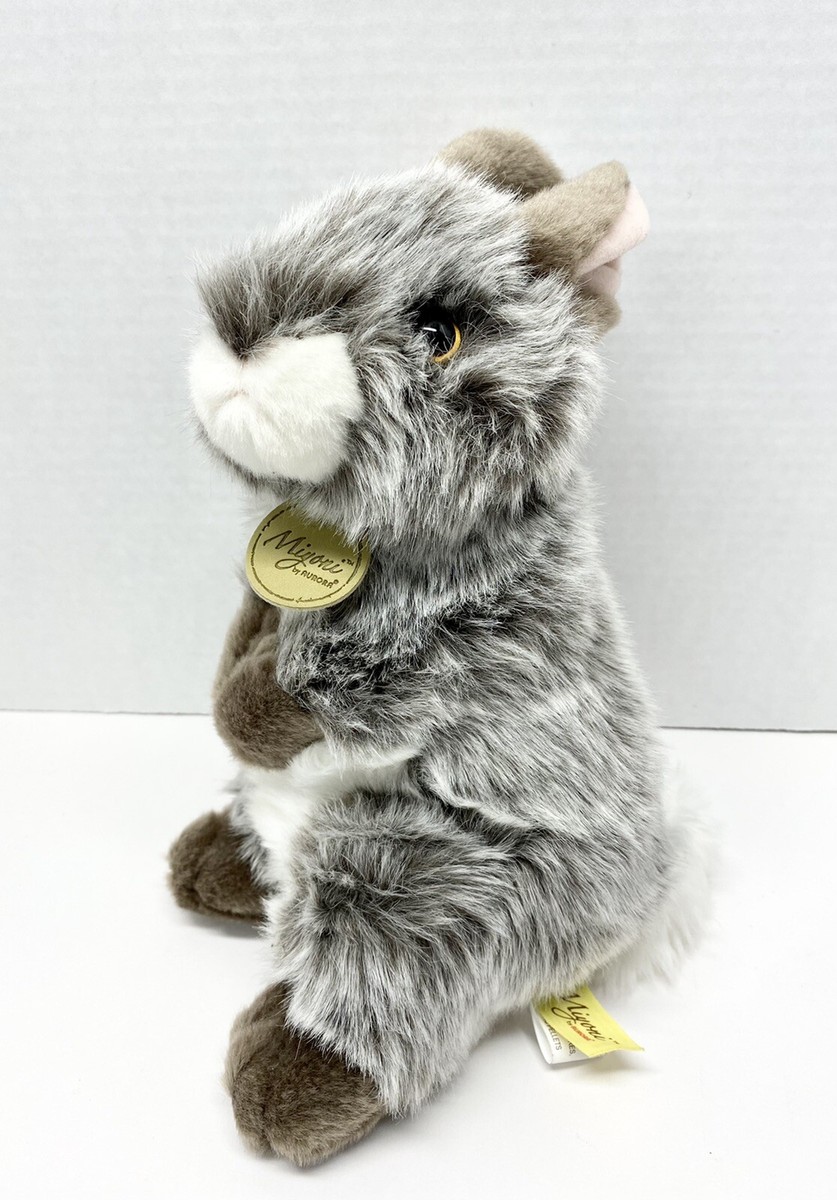 American Chinchilla Rabbit