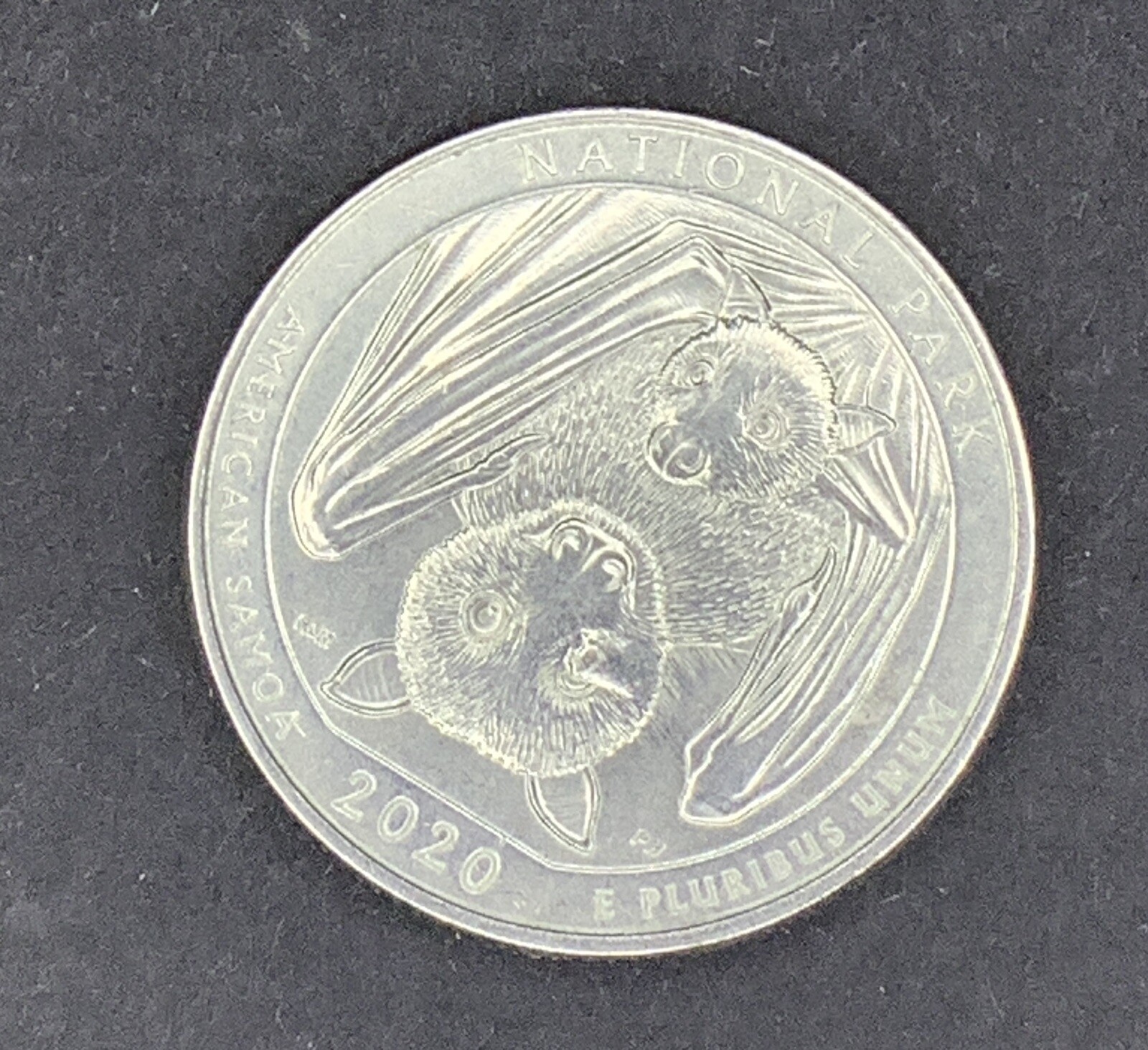 2020 P American Samoa Bat Eye Die Gouge Error Coin | eBay